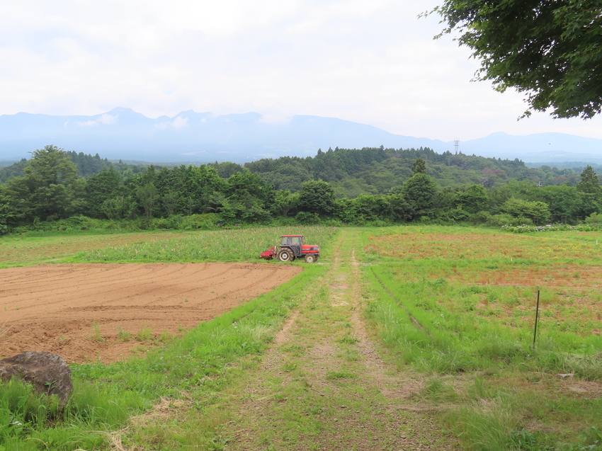 フラワーワールドへ: お花大好き
